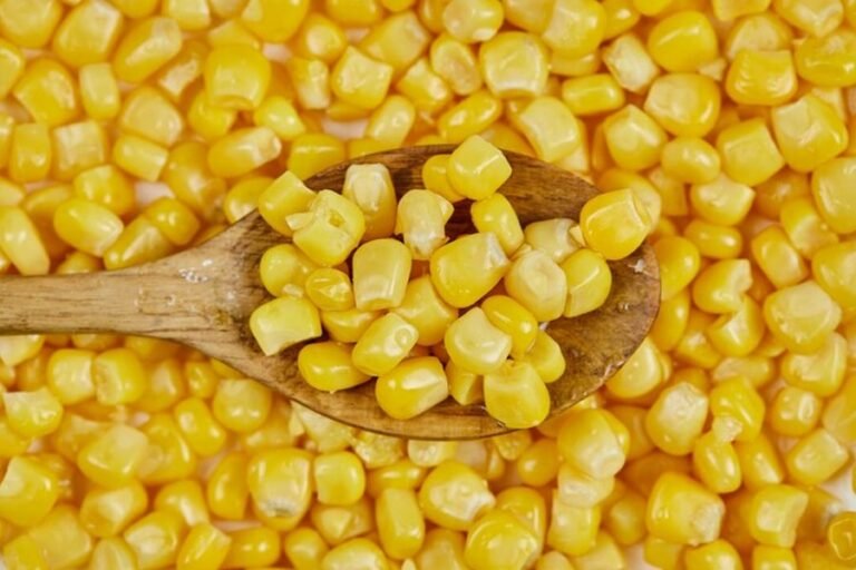 Sweet Corn For Kids Birthday Party - 7411777077